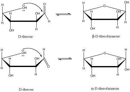 Beta Furanose Dna